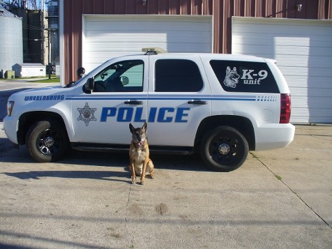 dino-1 – Village of Warrensburg, IL